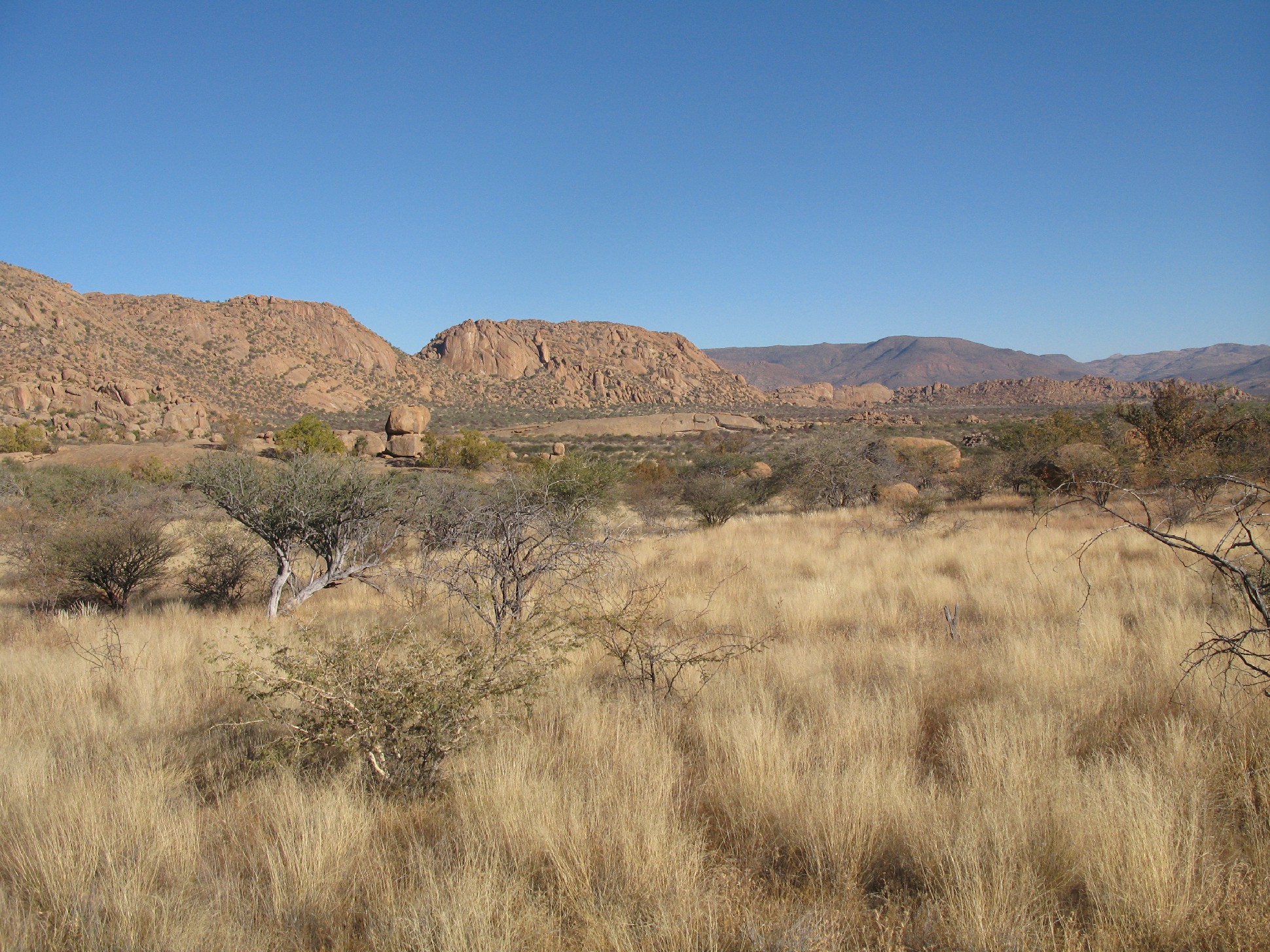 Spreading Wings in Namibia