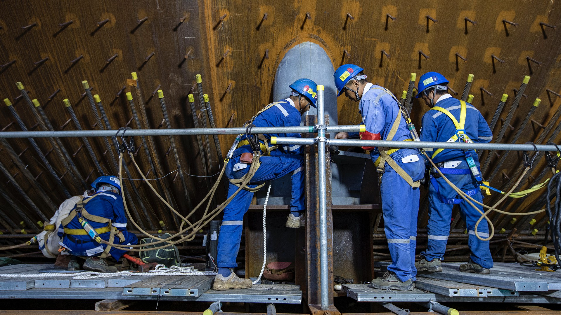The Future of Small Modular Reactors